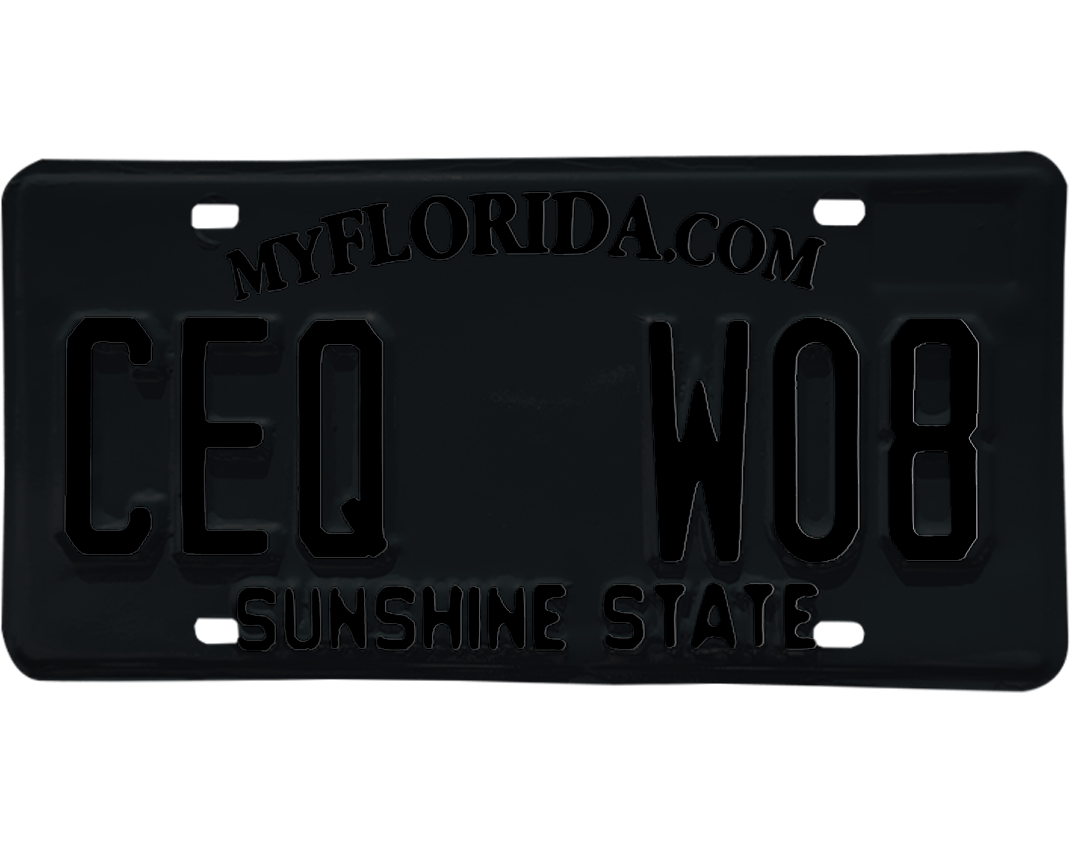 Florida License Plate Wrap Kit – PlateWraps