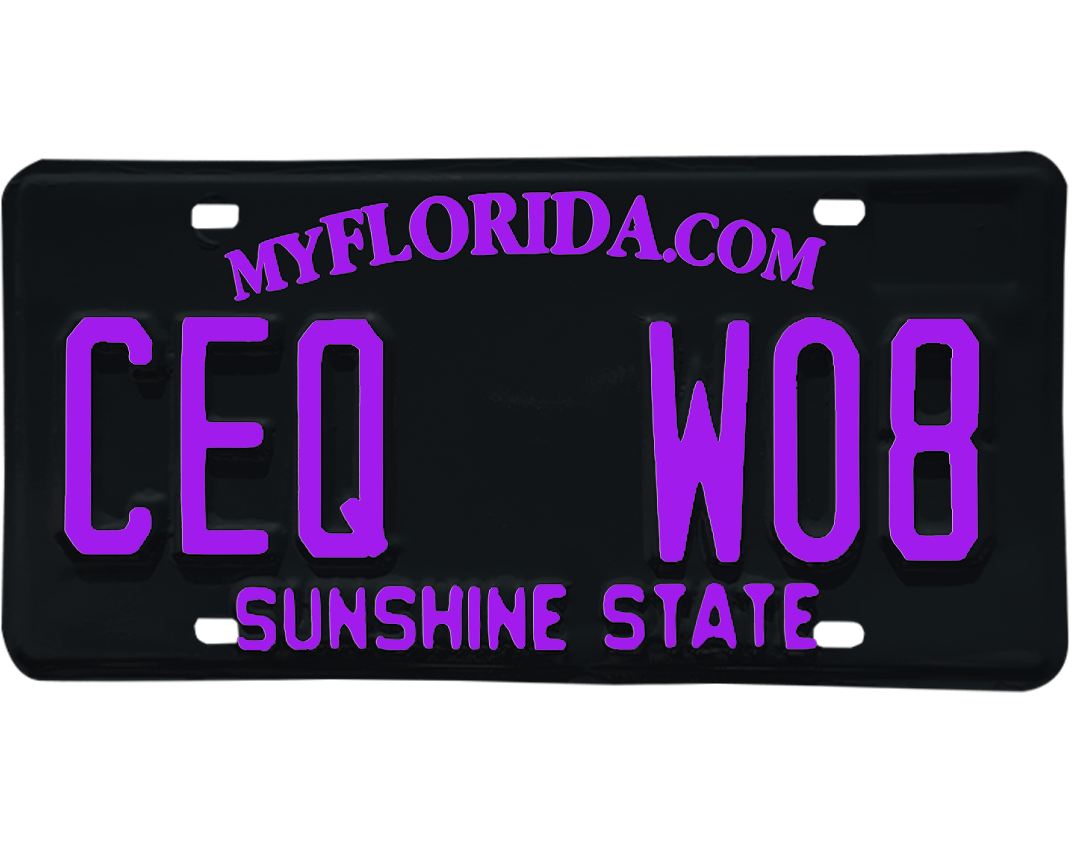 Florida License Plate Wrap Kit – PlateWraps