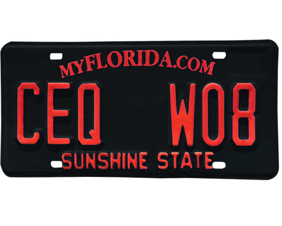 Florida License Plate Wrap Kit – PlateWraps