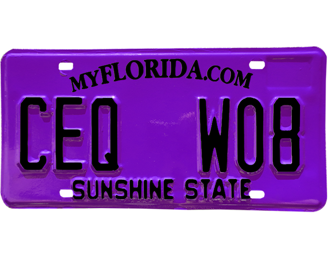 Florida License Plate Wrap Kit – PlateWraps