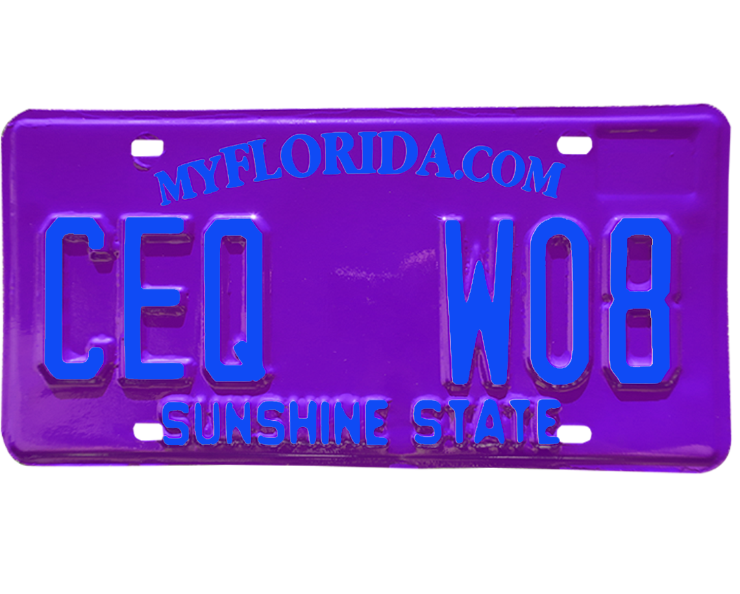 Florida License Plate Wrap Kit – PlateWraps