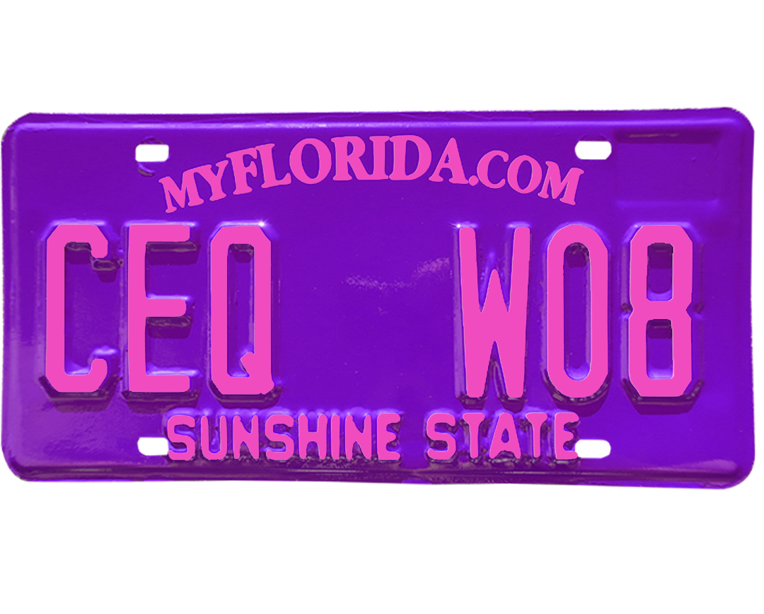 Florida License Plate Wrap Kit – PlateWraps