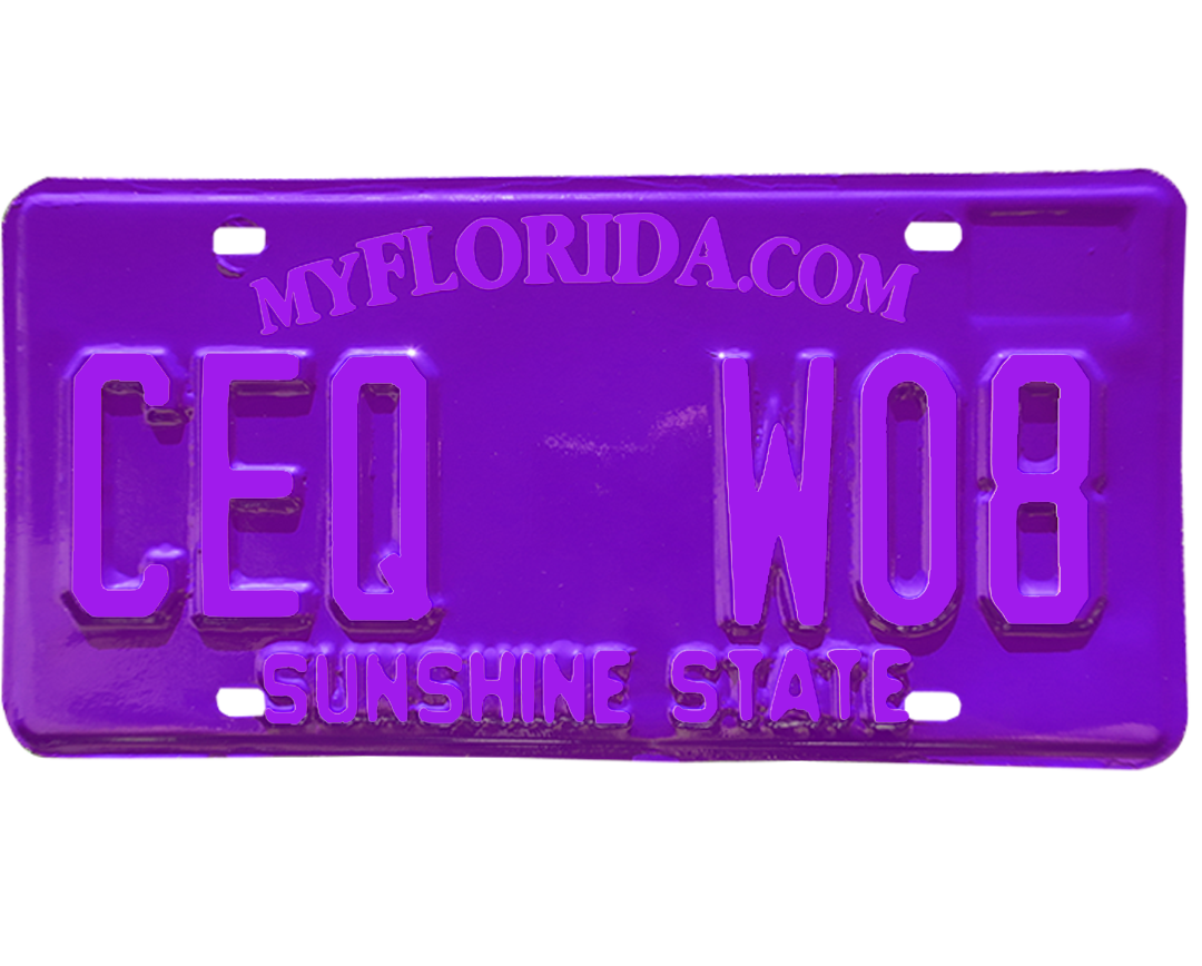 Florida License Plate Wrap Kit – PlateWraps