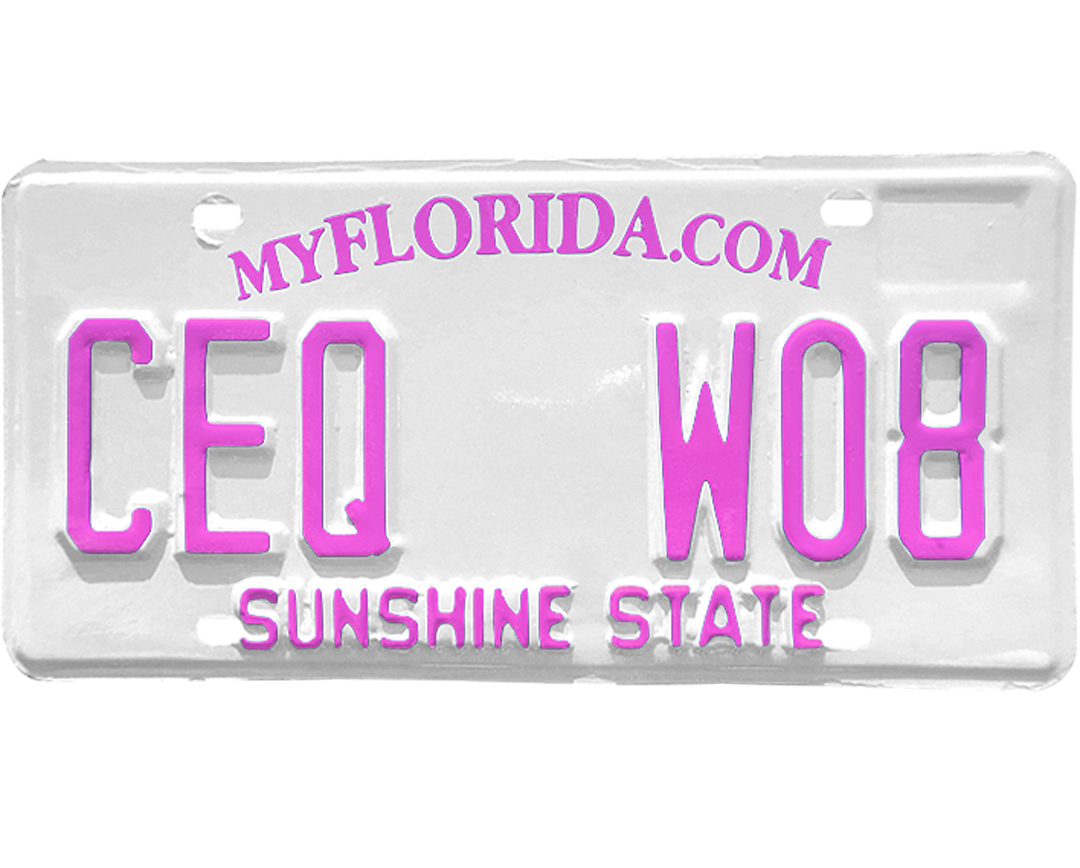 Florida License Plate Wrap Kit – PlateWraps
