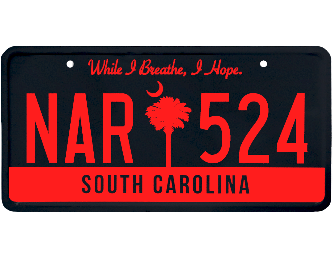 South Carolina License Plate Wrap Kit – PlateWraps