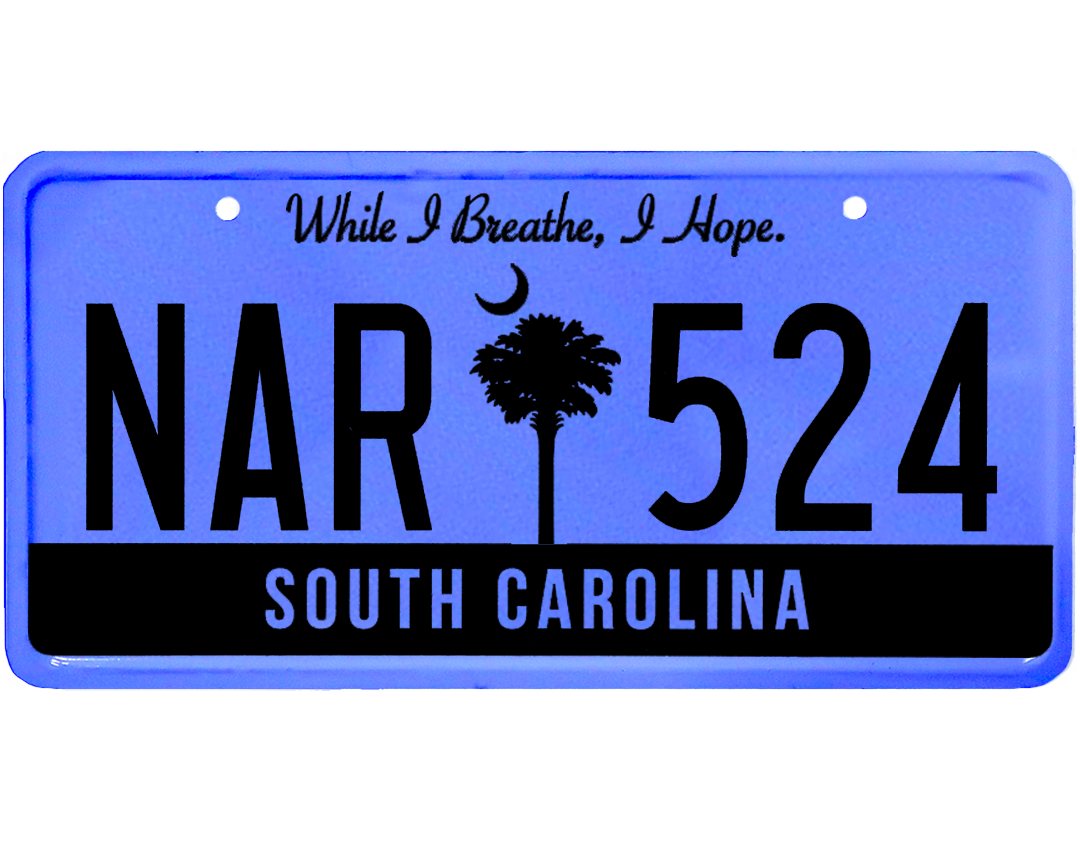 South Carolina License Plate Wrap Kit – PlateWraps