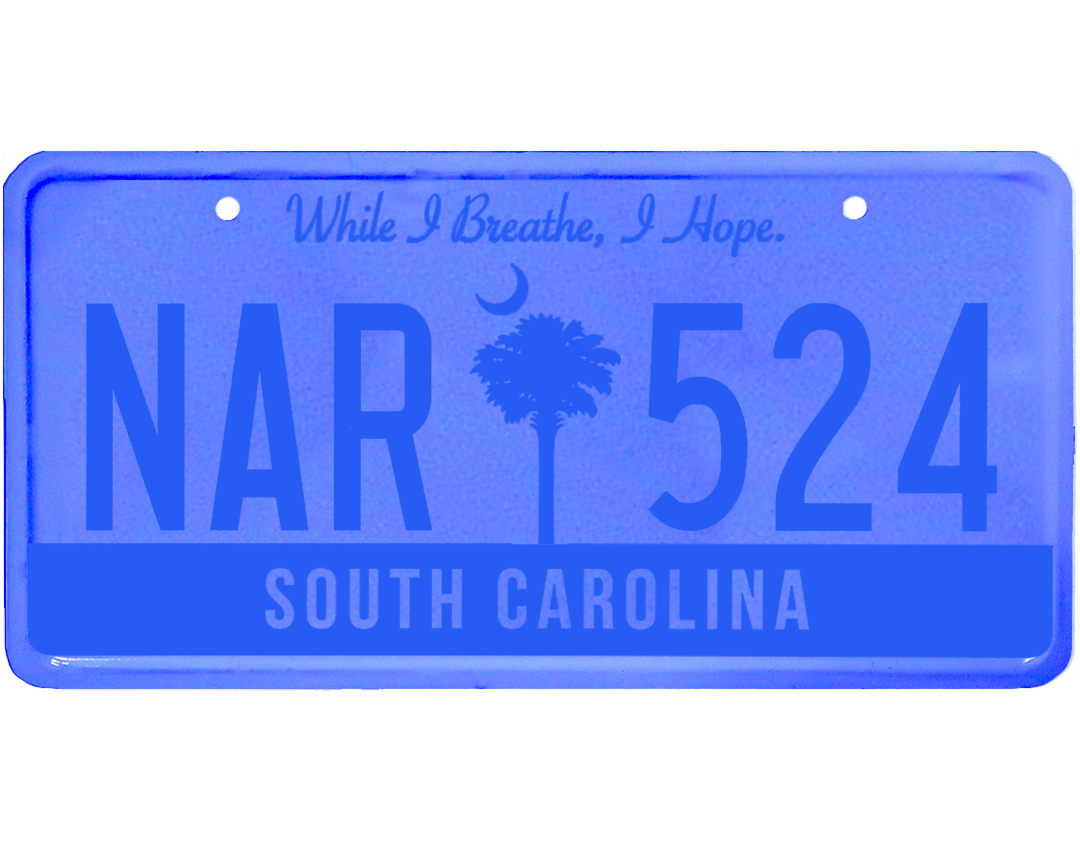 South Carolina License Plate Wrap Kit – PlateWraps