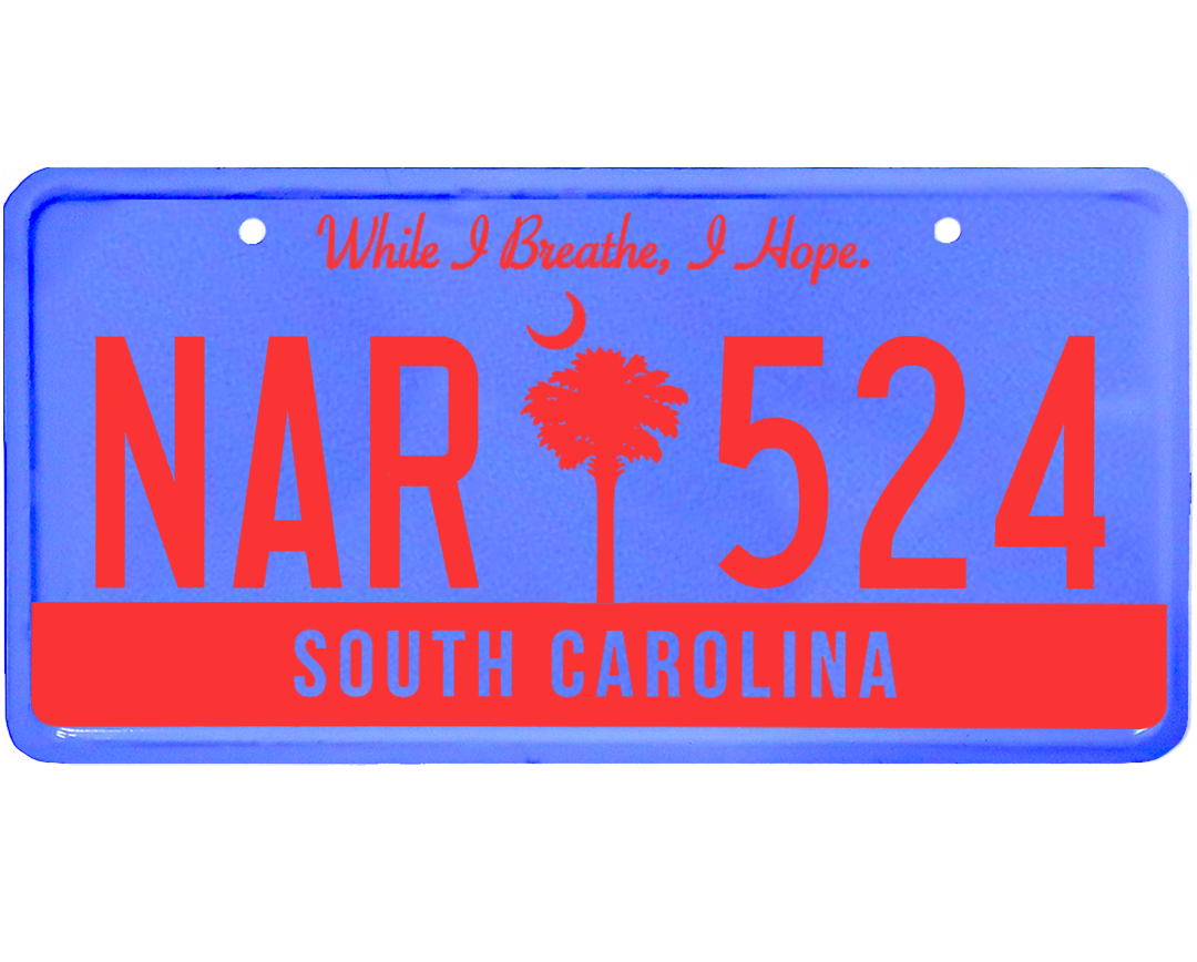 South Carolina License Plate Wrap Kit – PlateWraps