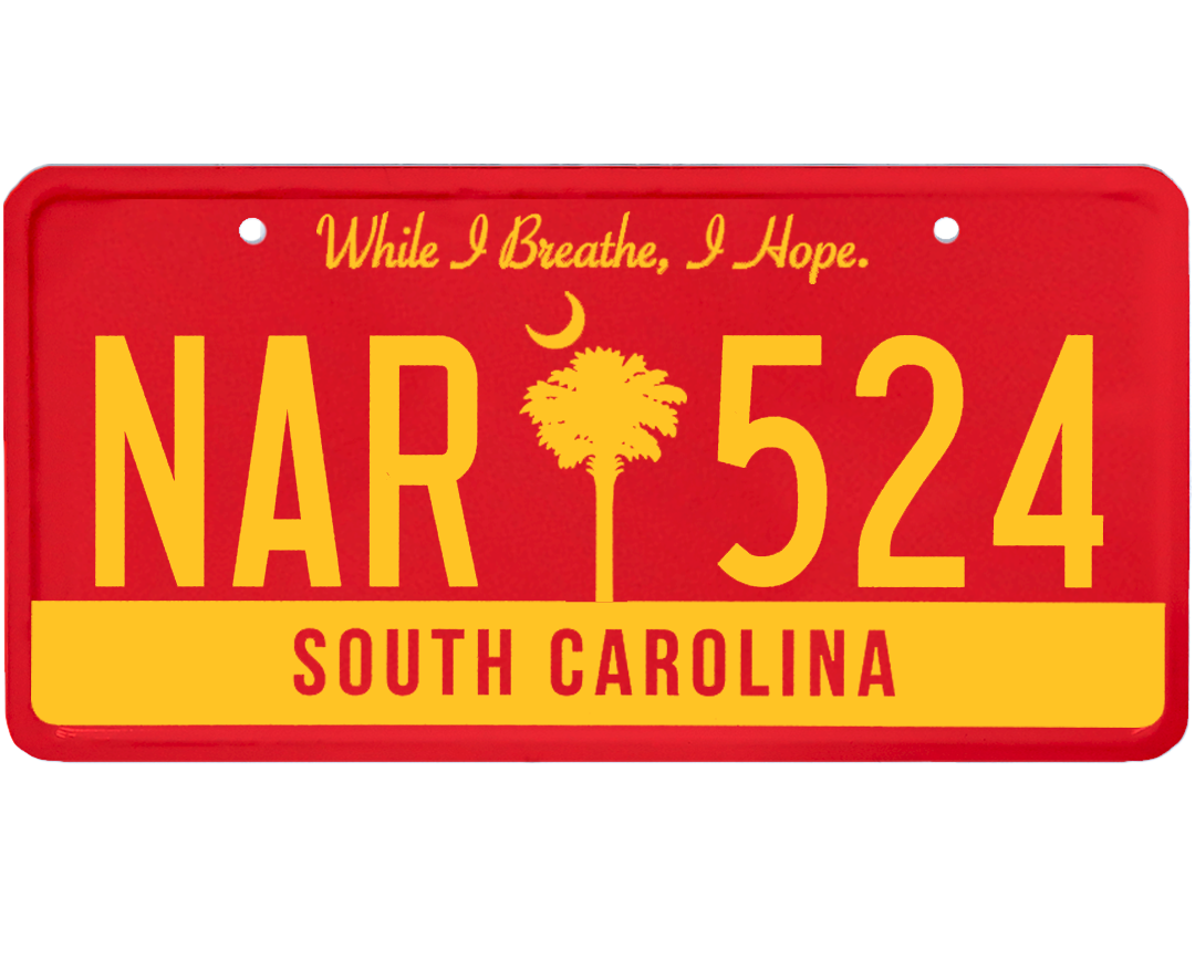 South Carolina License Plate Wrap Kit – PlateWraps