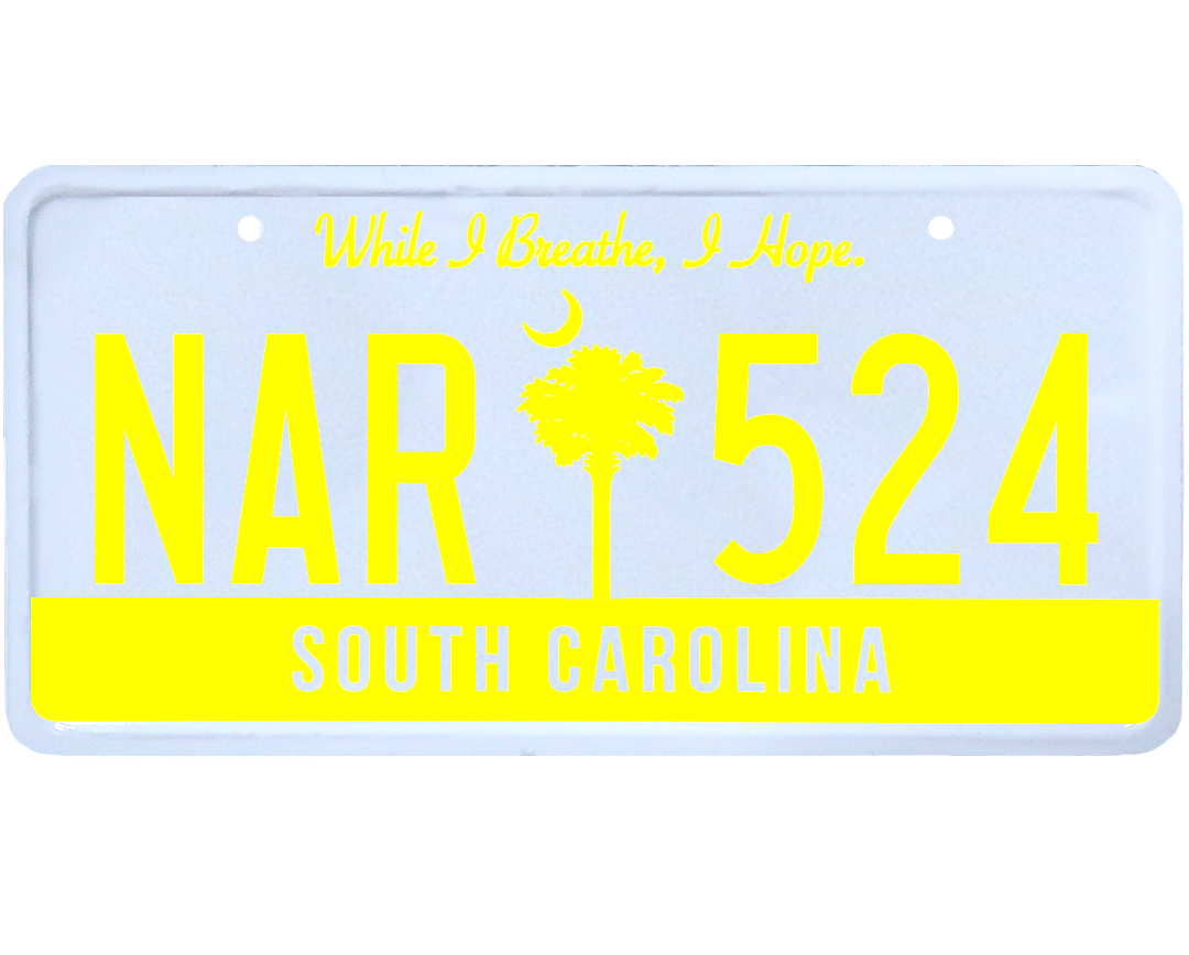 South Carolina License Plate Wrap Kit – PlateWraps